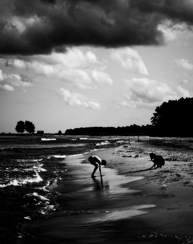 Elusive images – Fotografi